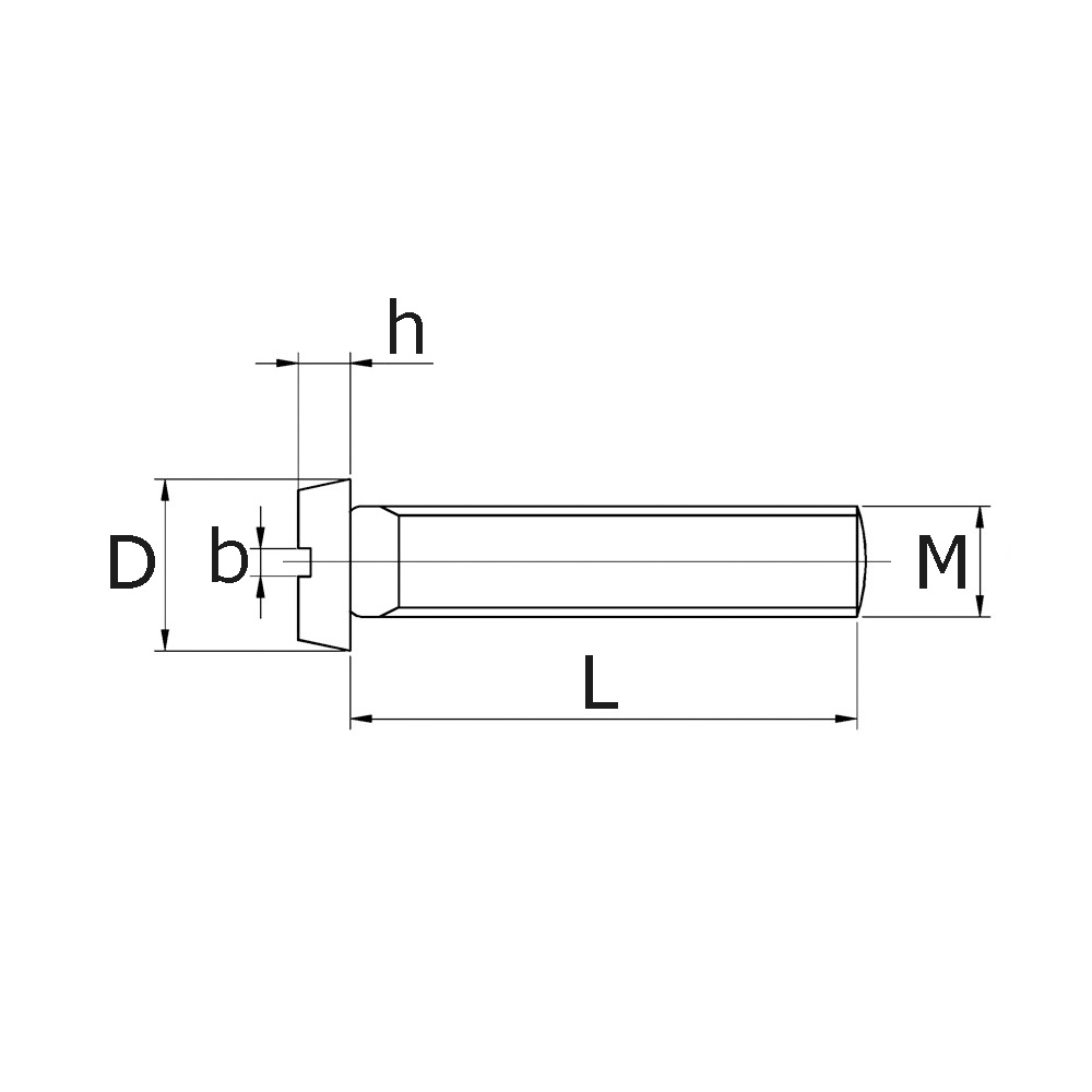 Verpas - Kunststof Cilinderkopschroeven met zaagsleuf - DIN 84 - verpas