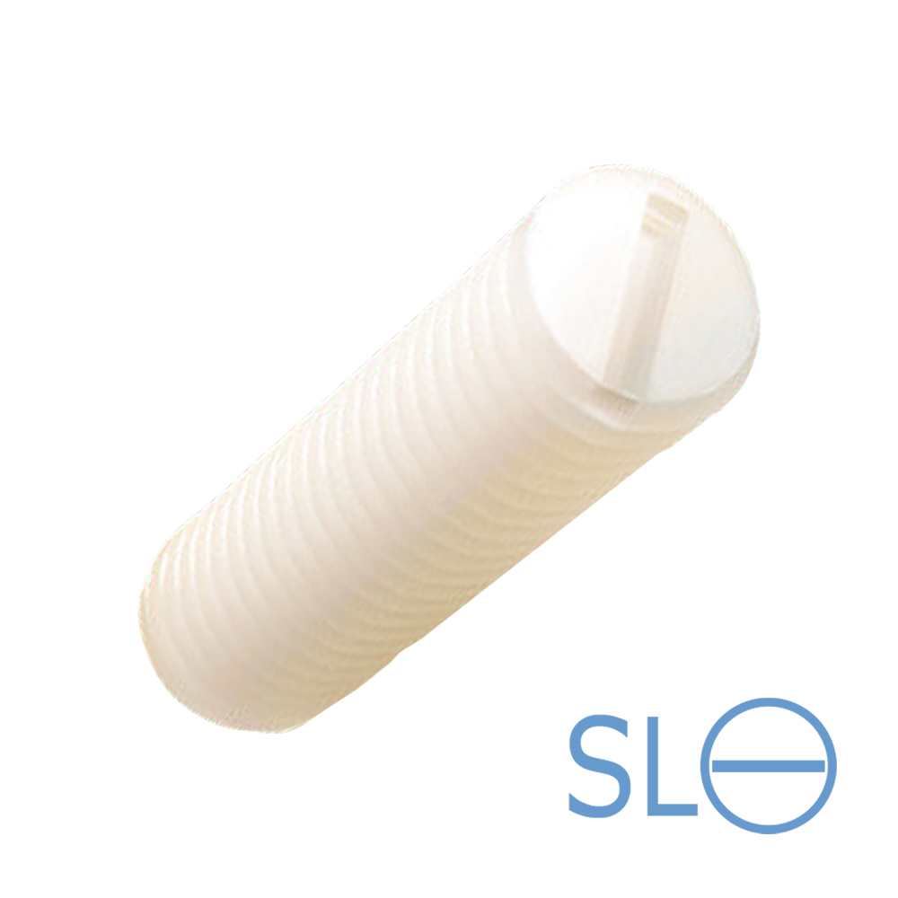 Verpas - Stelschroef met zaagsleuf – DIN 551 (ISO 4766) - kunststof - v